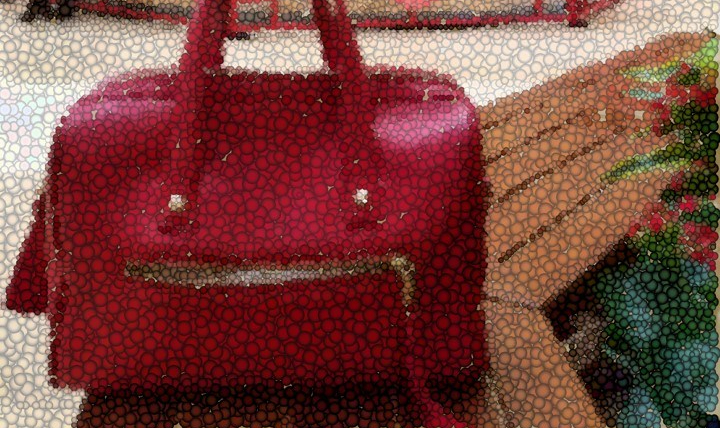 Comments – The Adventures of Purse Face